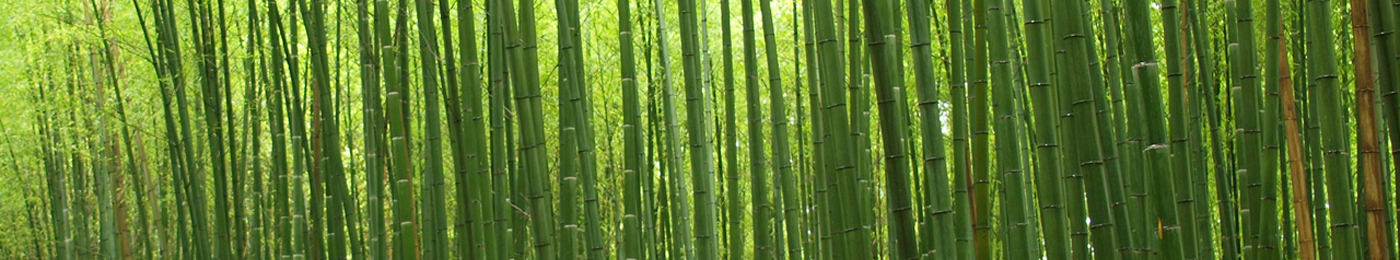 serenity – muttler.net