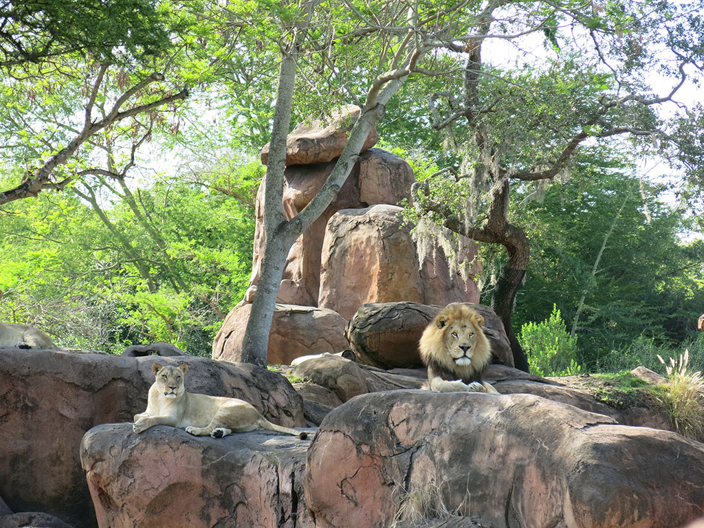 IMG_7161 – muttler.net